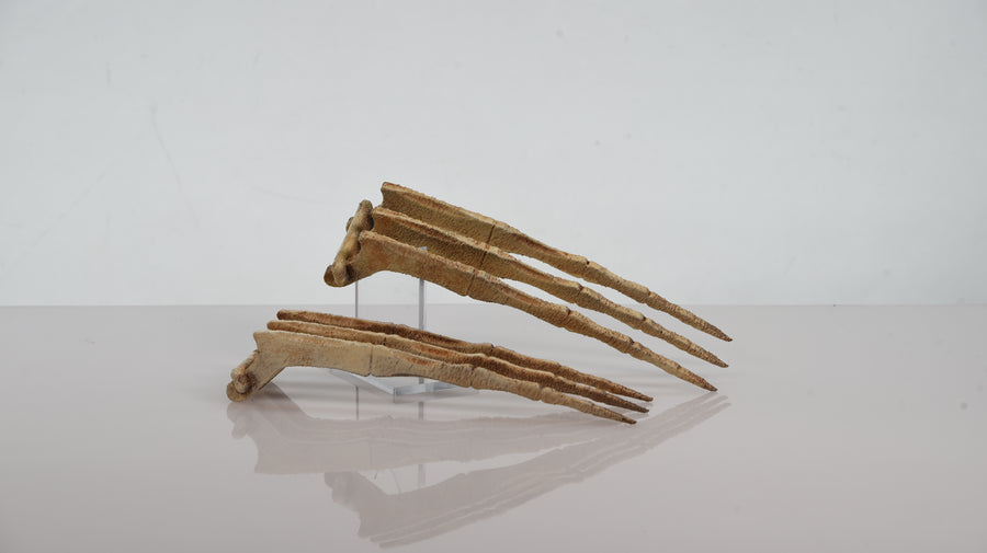 Wulfgar Props: Your Source for Cosplay & Movie Props
