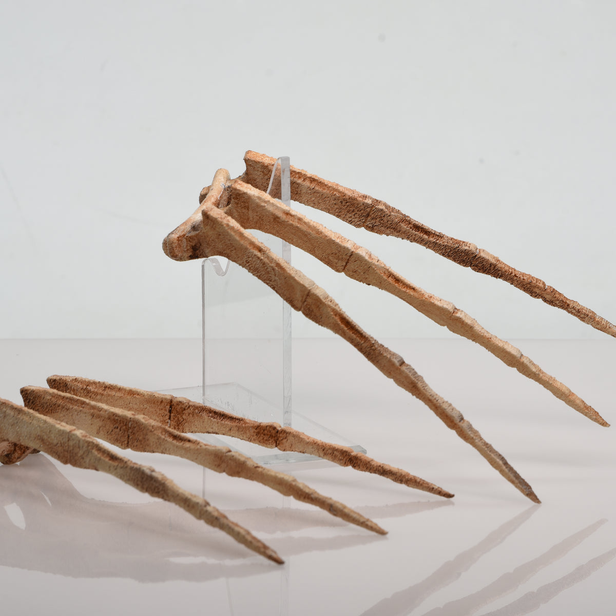Bone Wolverine Claws Costume Prop – Wulfgar Props
